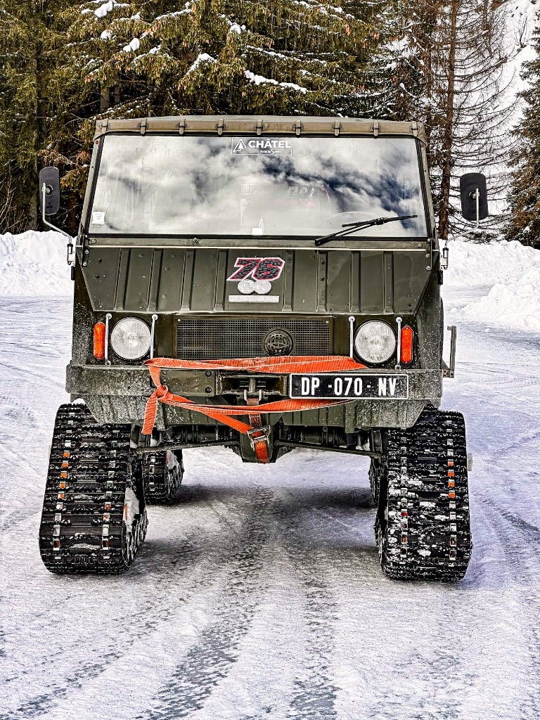 Steyr Pinzgauer 710 M fully restored, 1978, Luxembourg - Used other ...