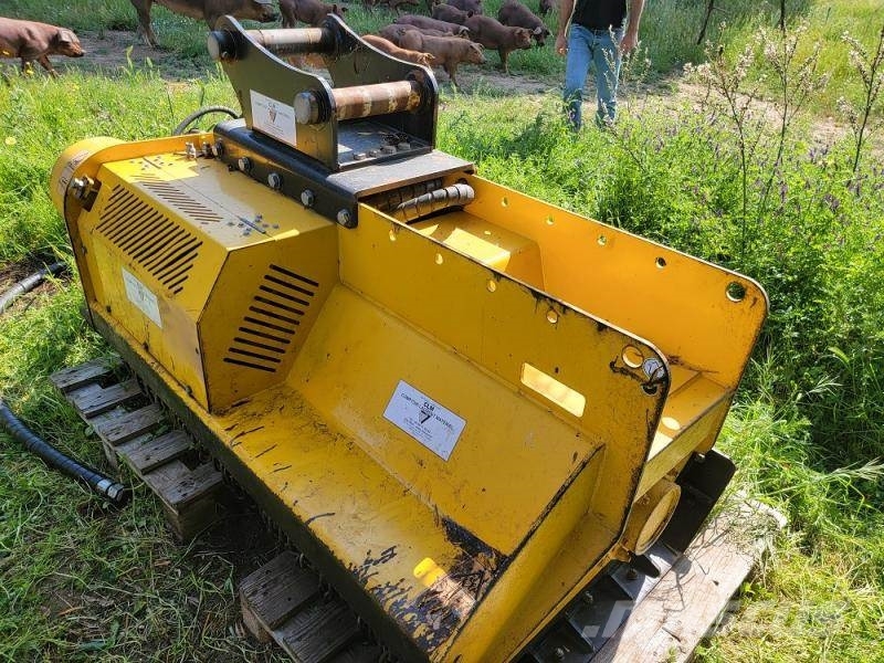 Rabaud , 2019, CASTAGNIERS, France - Used forestry mulchers - Mascus ...