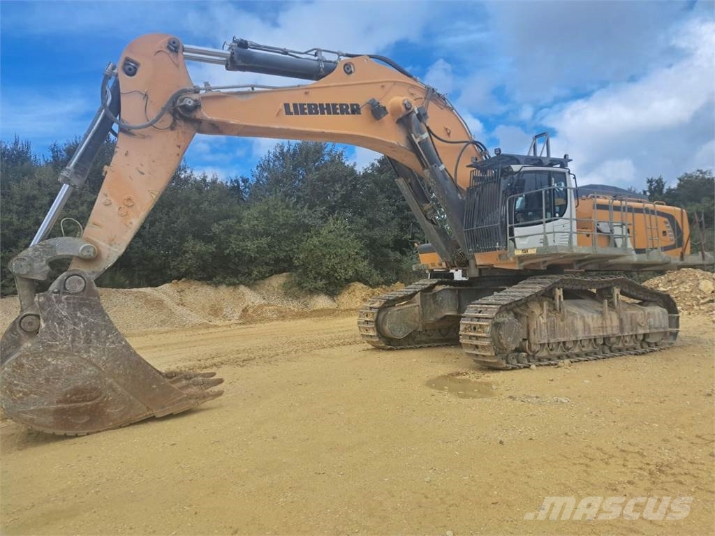 Liebherr R 980 SME, 2014, Ulm DE-BW, Deutschland - Mascus Deutschland